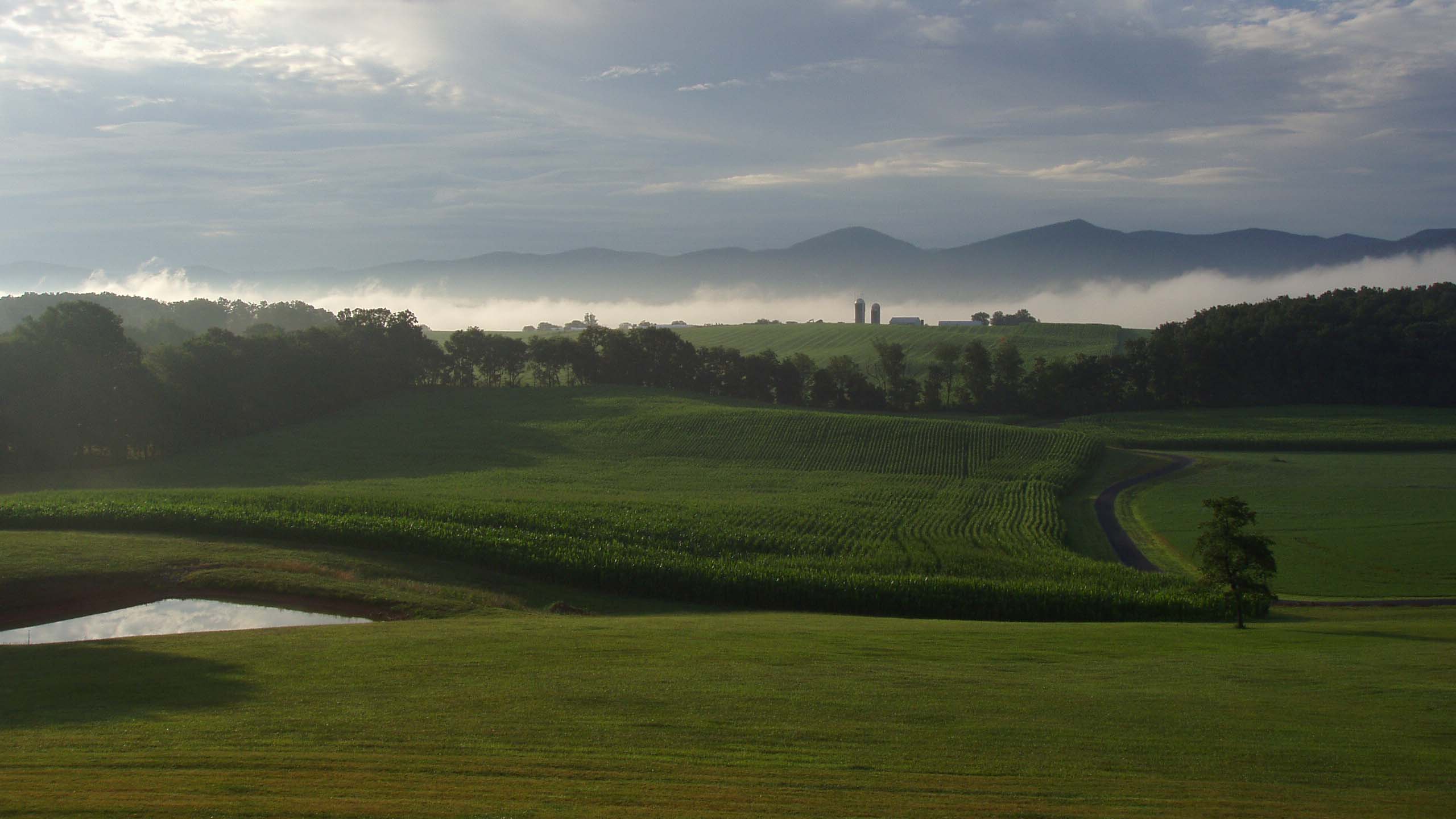 OD Shrader P.C. - Accounting and Tax Services